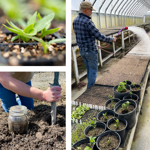 What's Growing On: Spring Farm Edition – Oregon's Wild Harvest