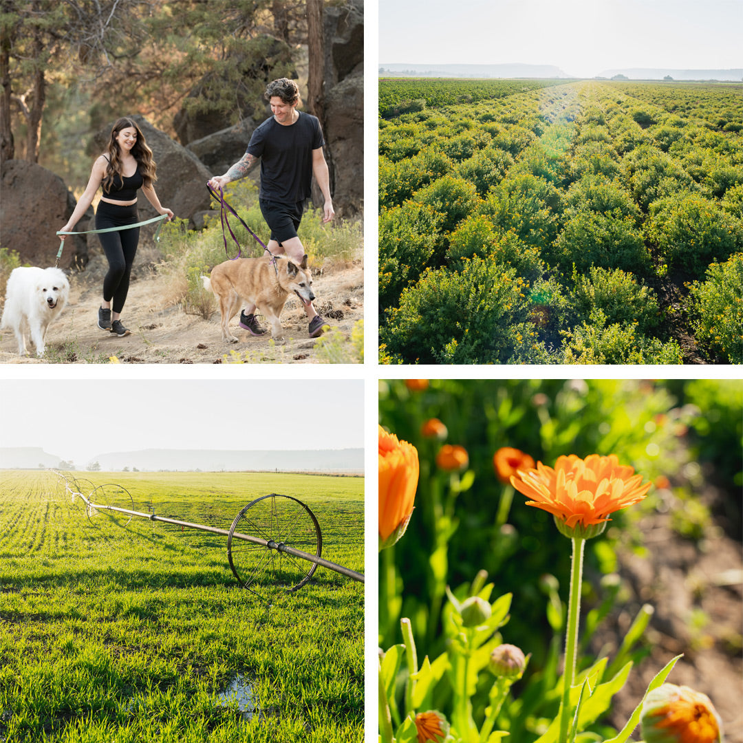 Simple Spring Wellness Reset – Oregon's Wild Harvest