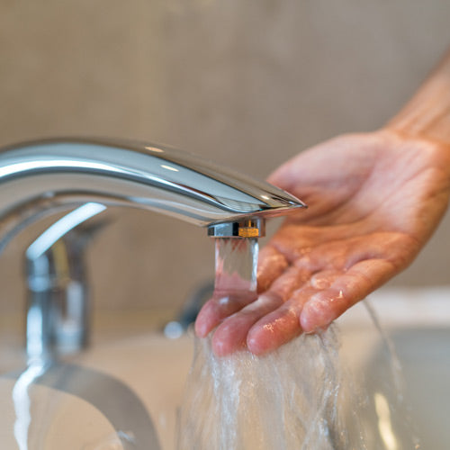 Winter Botanical Bath Soak – Oregon's Wild Harvest