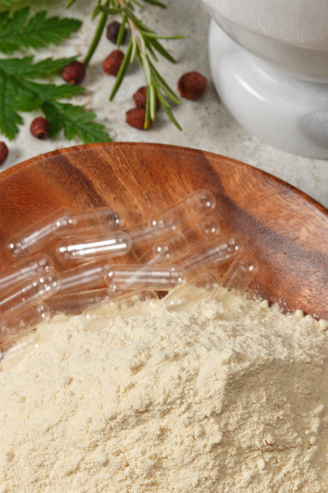 American Ginseng Powder | Oregon's Wild Harvest